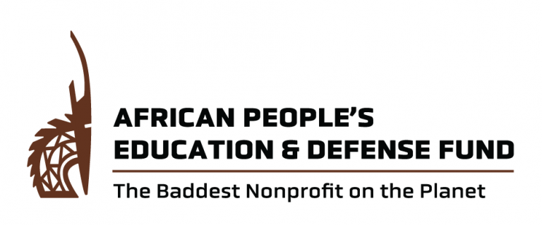 apedf.org – African People's Education & Defense Funds